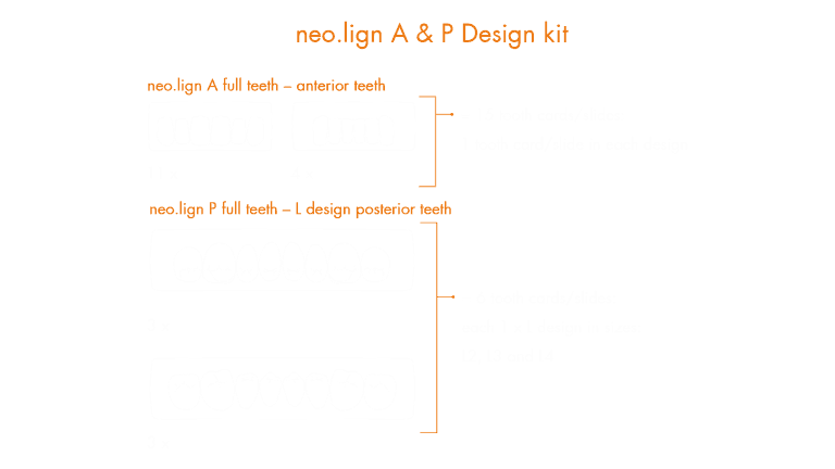 neo.lign - Denture teeth - visio.lign