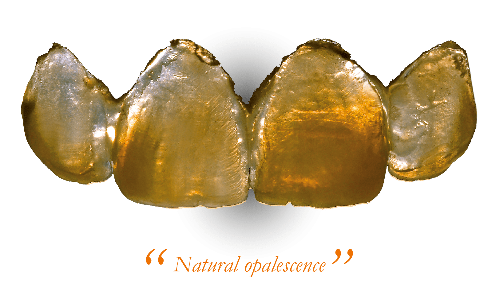 crea.lign | visio.lign