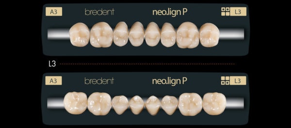 neo.lign - Denture teeth - visio.lign